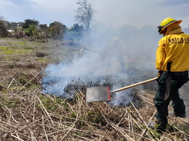 MÁS DE 300 HECTÁREAS CONSUMIDAS EN LA TEMPORADA DE INCENDIOS FORESTALES 2020-2021 » CONRED