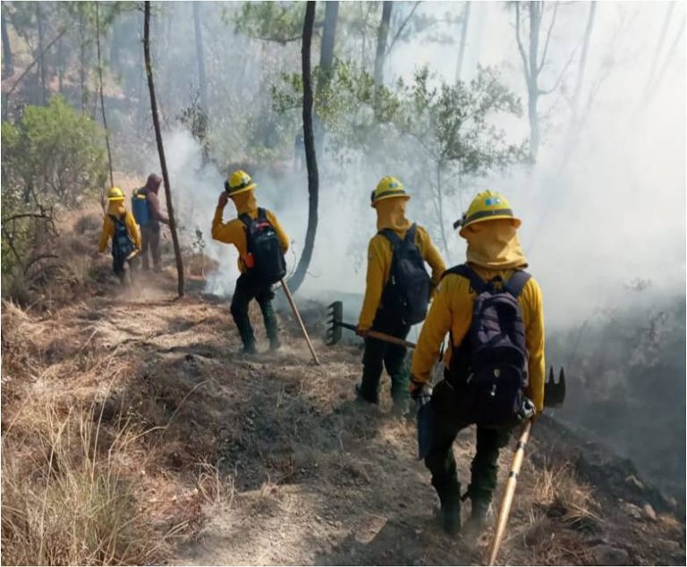 ATENCIÓN A 125 SINIESTROS POR TEMPORADA DE INCENDIOS FORESTALES » CONRED