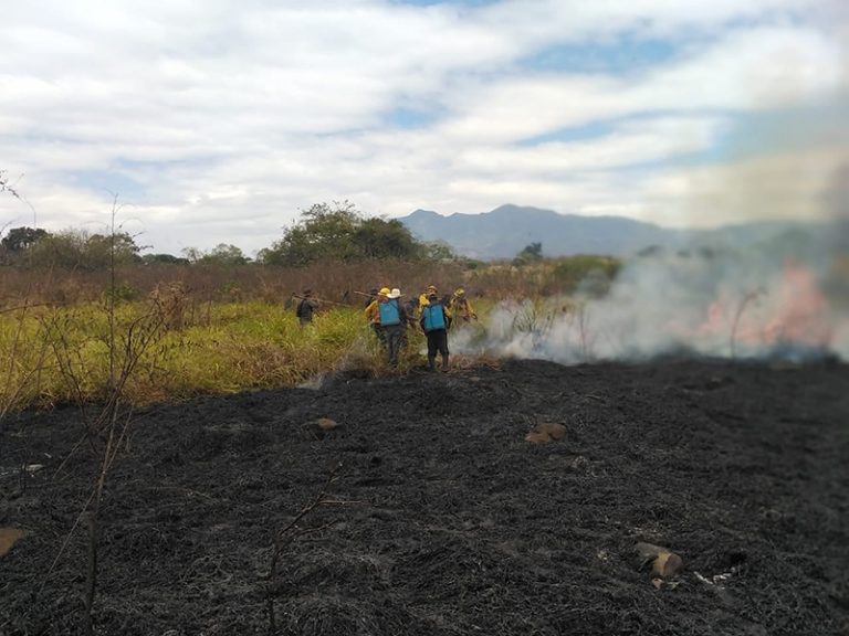 115 SINIESTROS REGISTRADOS DURANTE LA TEMPORADA DE INCENDIOS FORESTALES 2020-2021 » CONRED